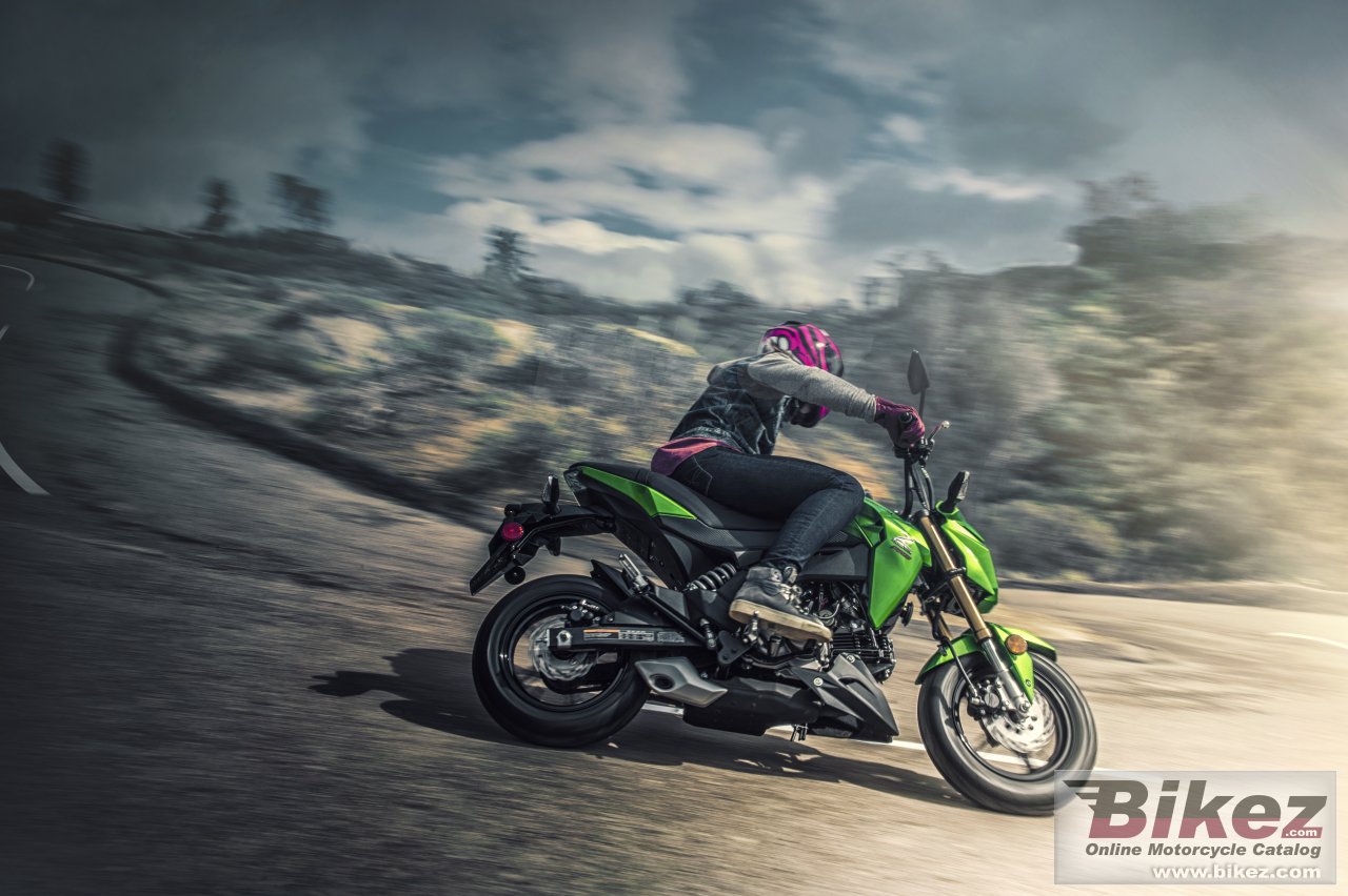 Kawasaki Z125 Pro poster